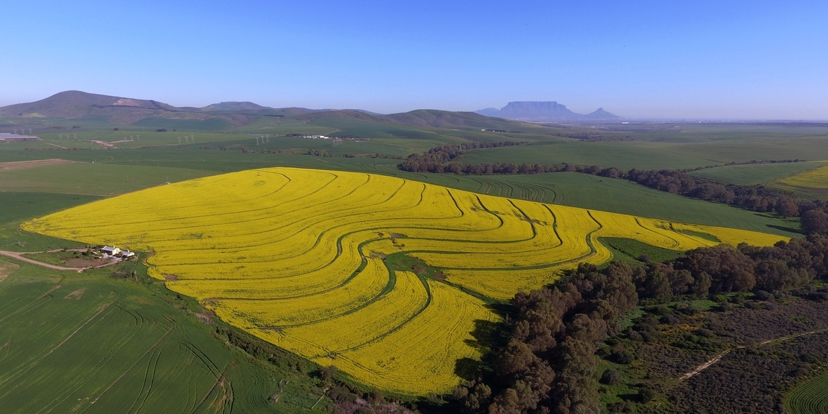The optimum structure for owning a farm in South Africa | Stonehage Fleming